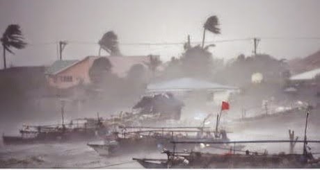 The Story of My Life