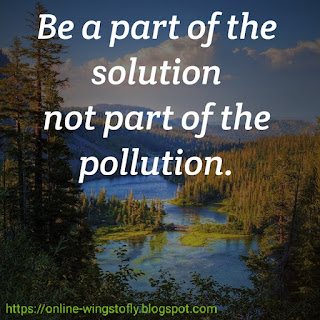 Happy Environment Day - slogans, quotes