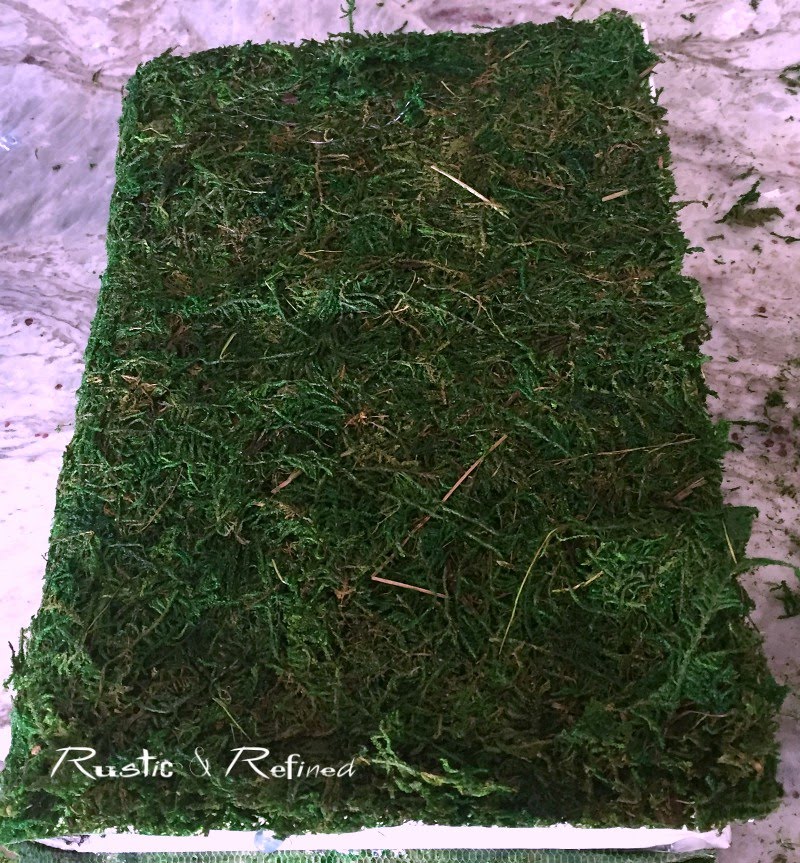 Craft Project that is quick, easy and cheap! | Rustic & Refined