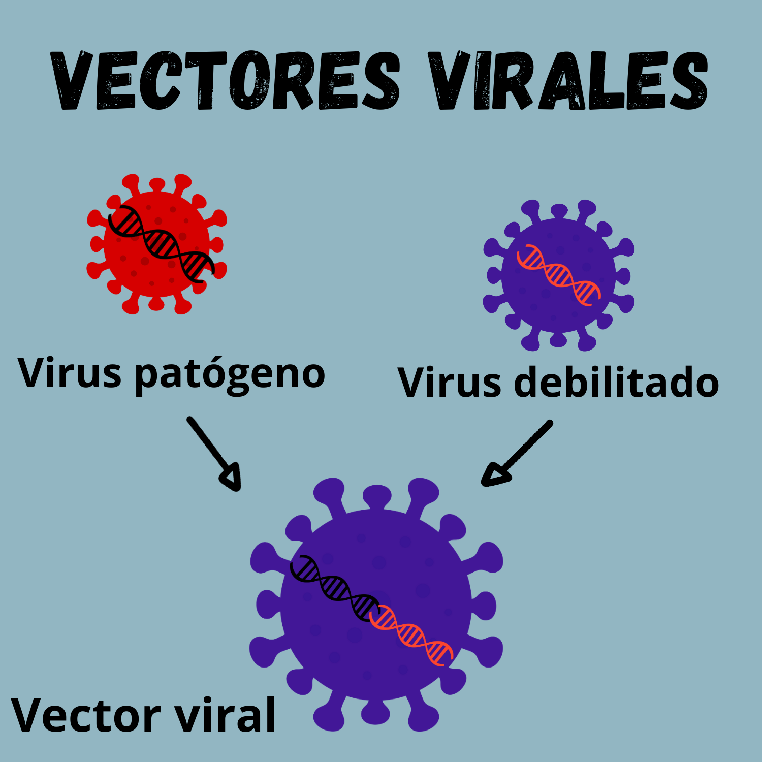 Vacunas de Vectores Virales (Analisis de las vacunas de AstraZeneca y ...