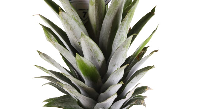 ISO 22000 Resource Center: Irradiation as a Food Safety and ...