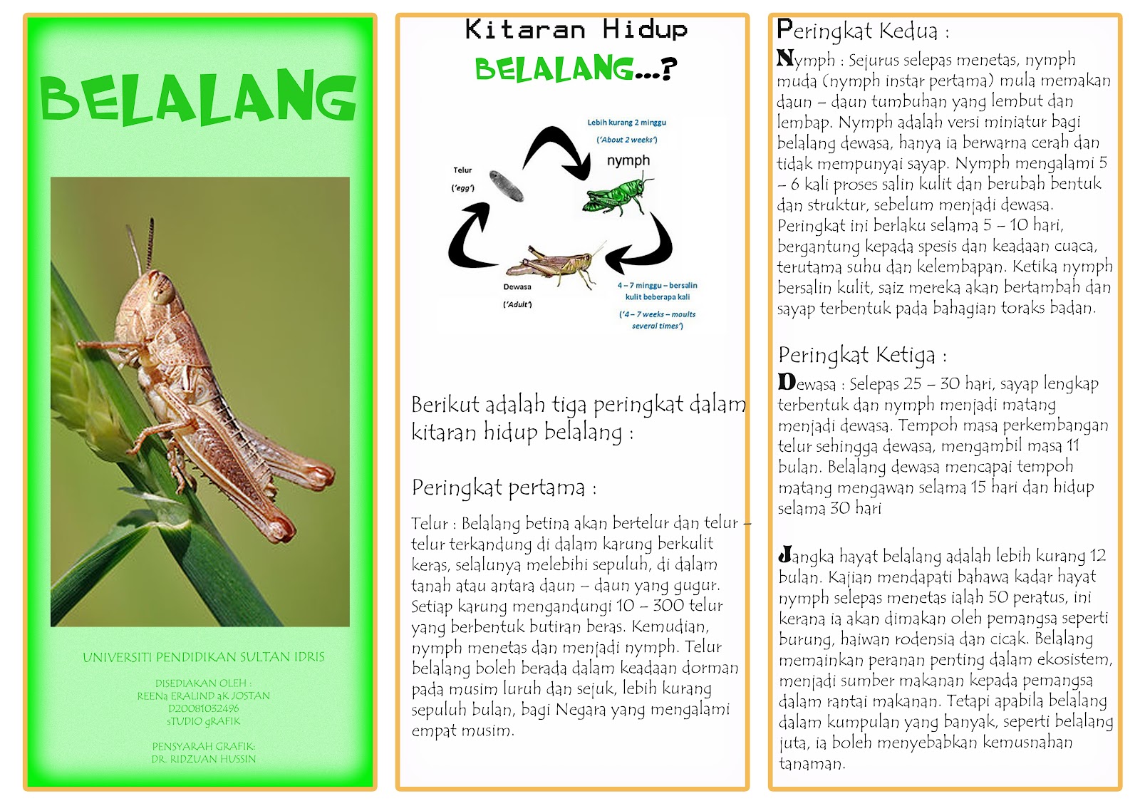 Reka Bentuk Grafik (ASG3023) Pendidikan Seni Visual