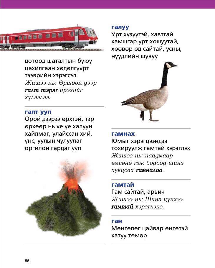 Шинэ номын танилцуулга ~ БАГА АНГИЙН БАГШ НАРЫН ХӨГЖИЛ ХОЛБОО