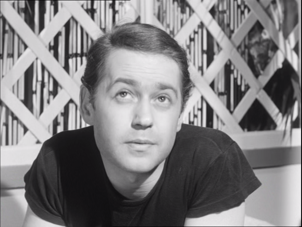 TV minus 50: Thursday 19 December 1963