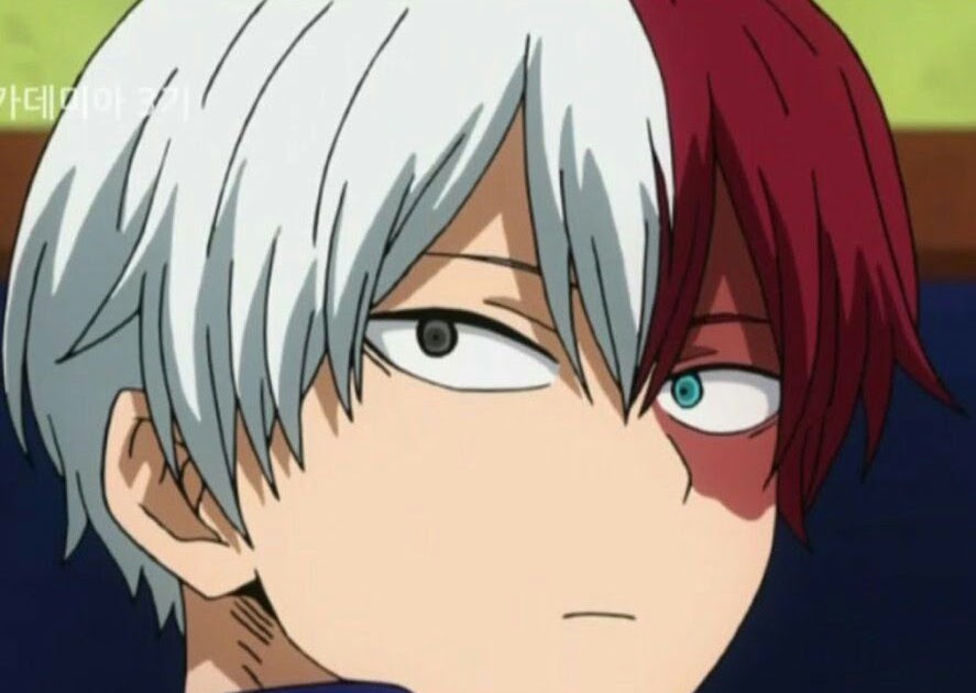 5 Facts About Todoroki Shoto