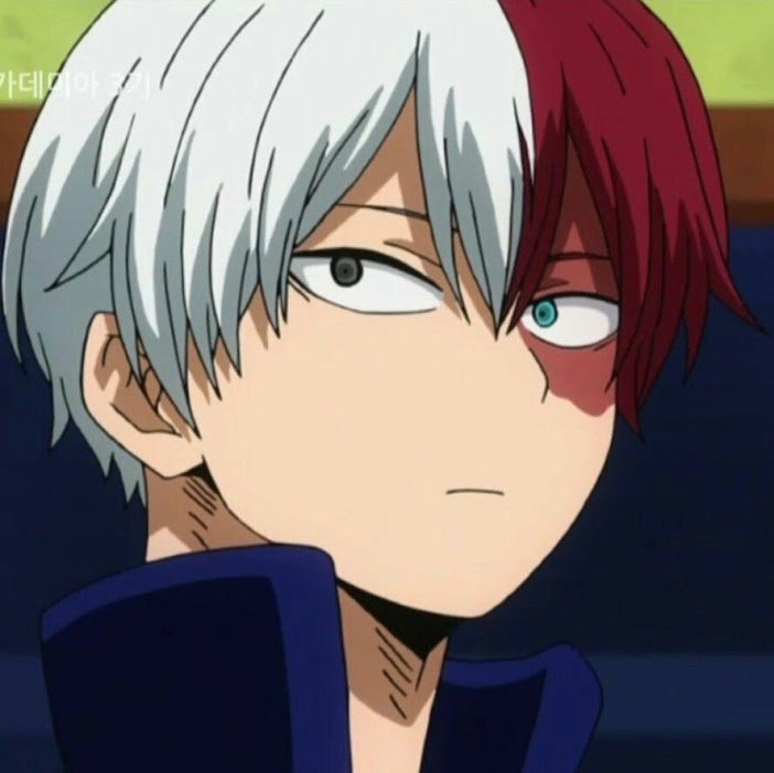 5 Facts About Todoroki Shoto
