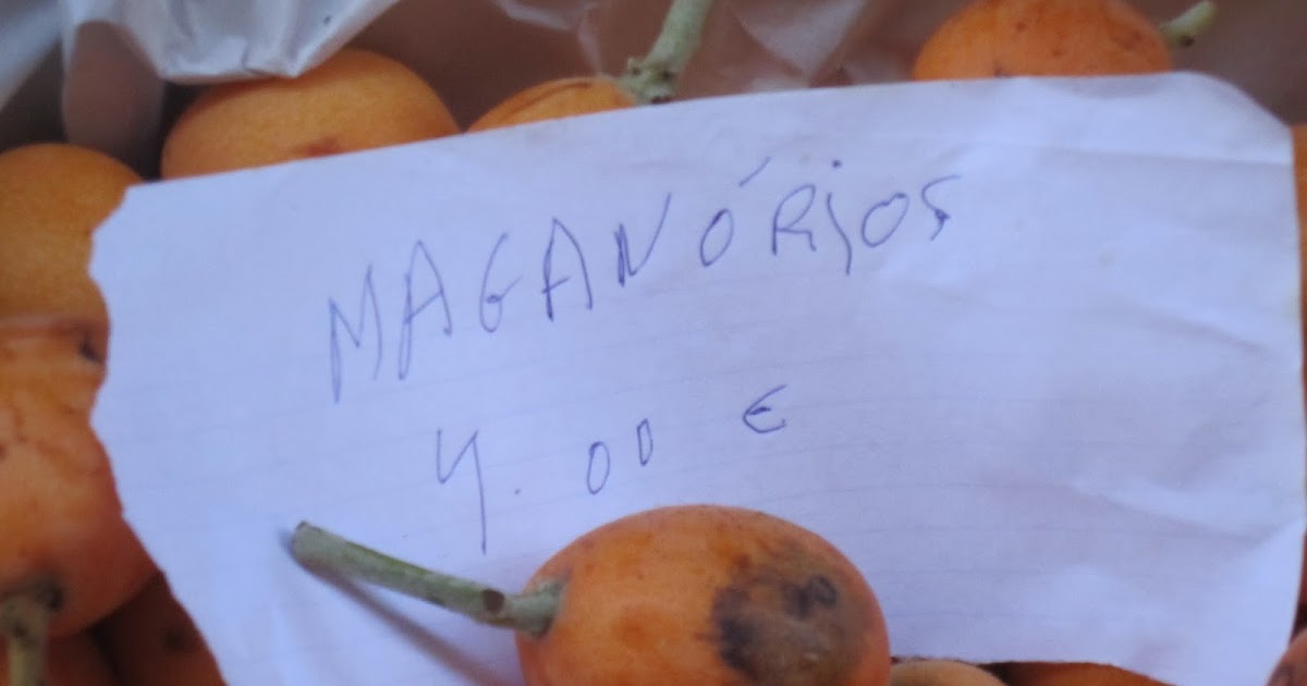 MAGANÓRIOS