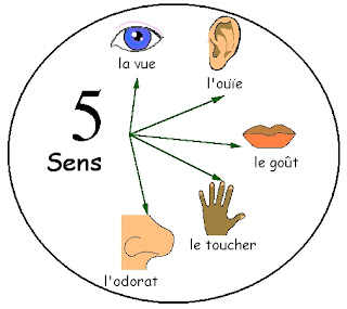 .: Les cinq sens (The five senses)