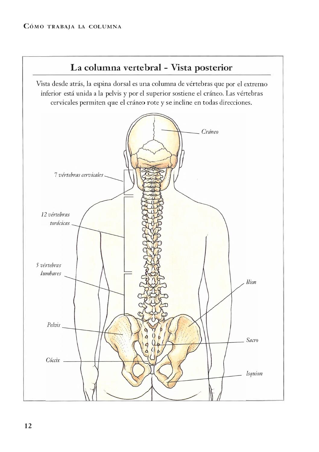 MyStretchingVital: ¿Qué es la Hiperflexibilidad? Hugo Cascia FUENTE ...