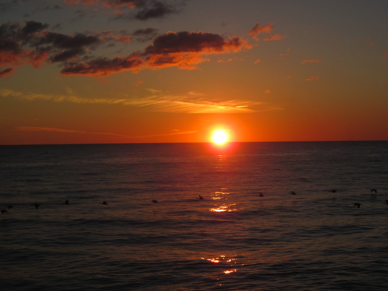 I Laugh, Therefore, I AM: Morning Scene - Sunrise