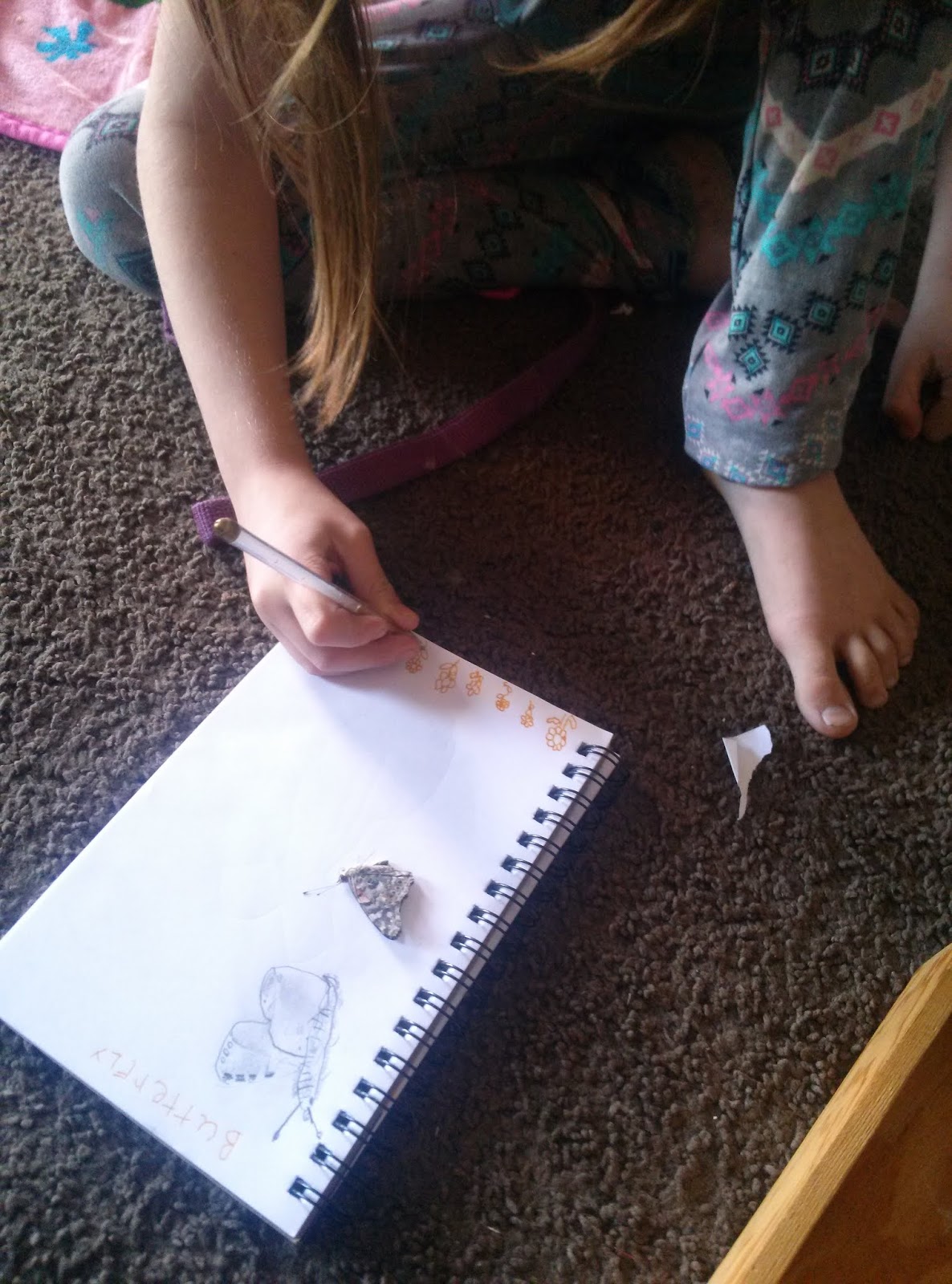 Nature Journaling: How to Get Started