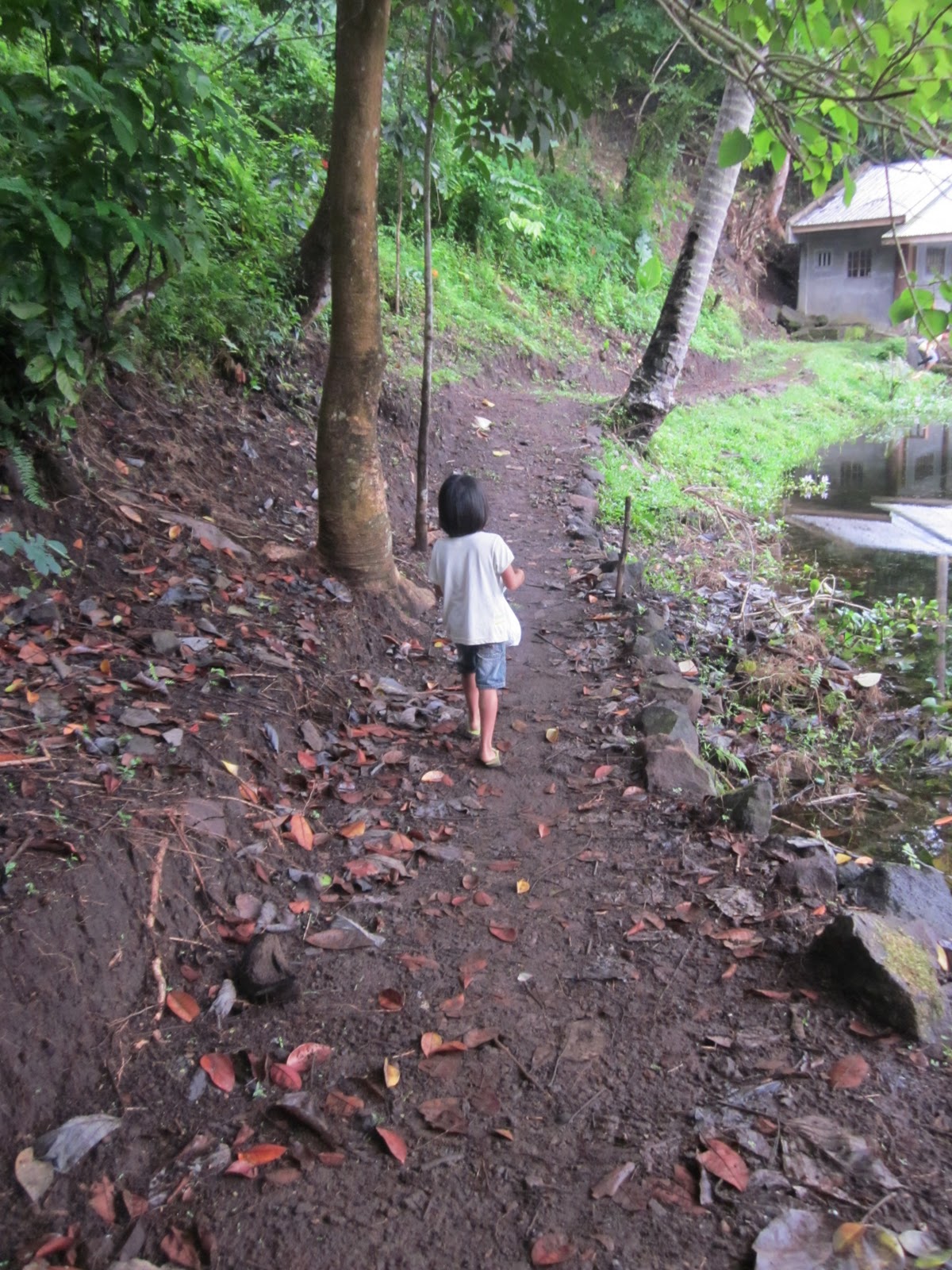 Sinarapan sa Buhi: Photo Gallery