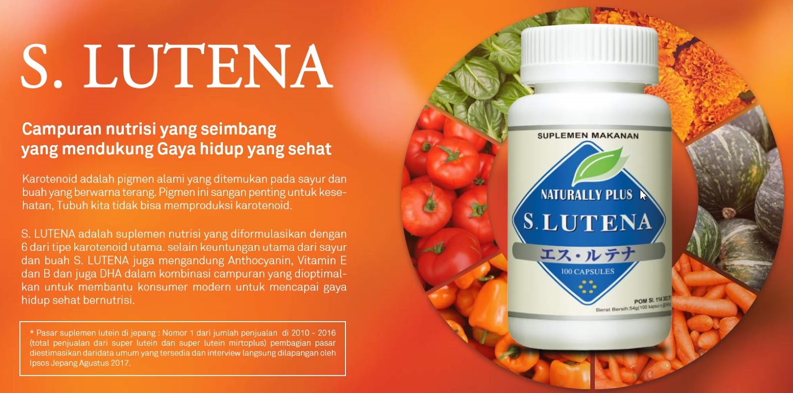 Testimoni Slutena Terapi Ginja Bocor Untuk terapi pengobatan Ginjal Bocor