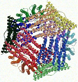 Examen de Ferritina en la Sangre