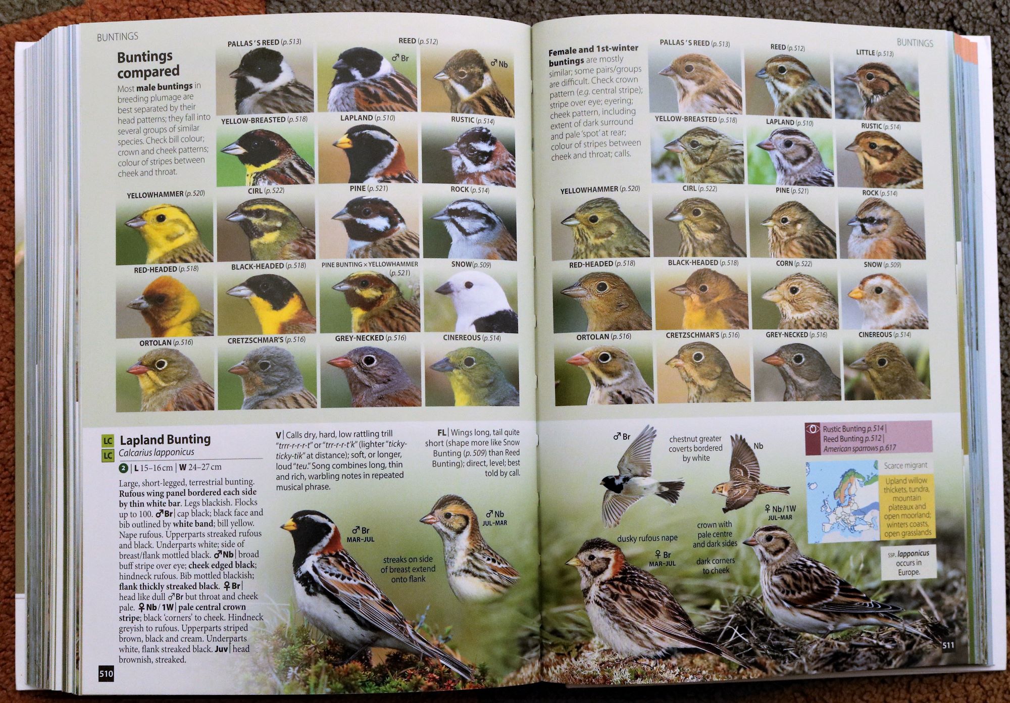Another Bird Blog: Review - Europe’s Birds