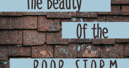 The Carrie Life: The Beauty of the Poop Storm