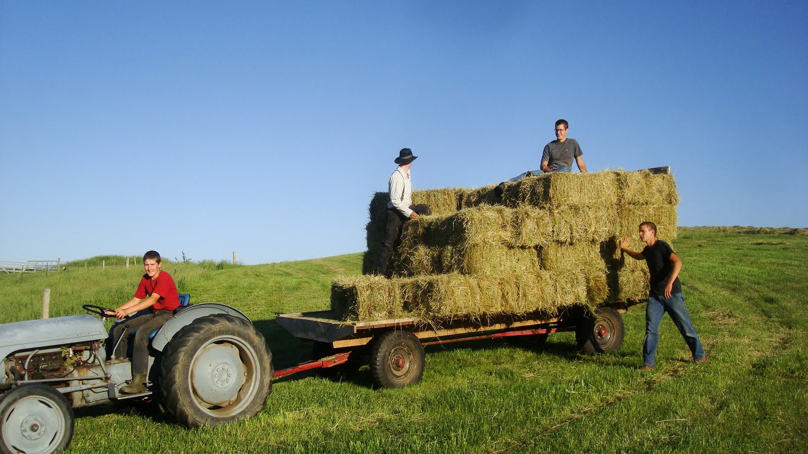 Runnymede School for Boys: Haying at Pasture Nectar Farm