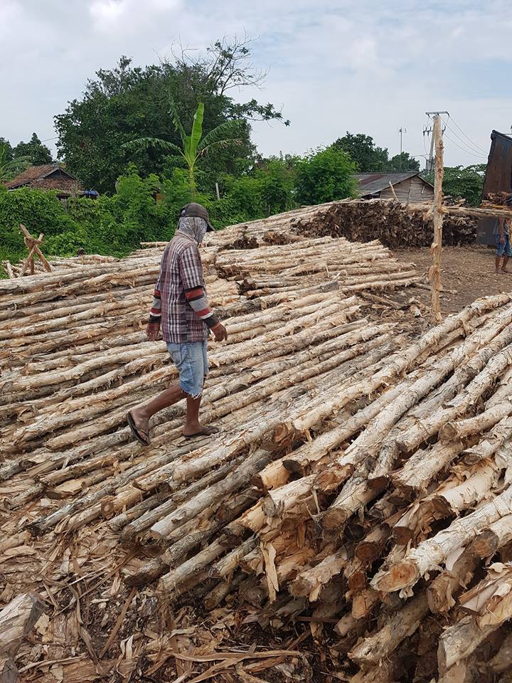 Jual kayu tiang pancang turap kayu dolken gelam