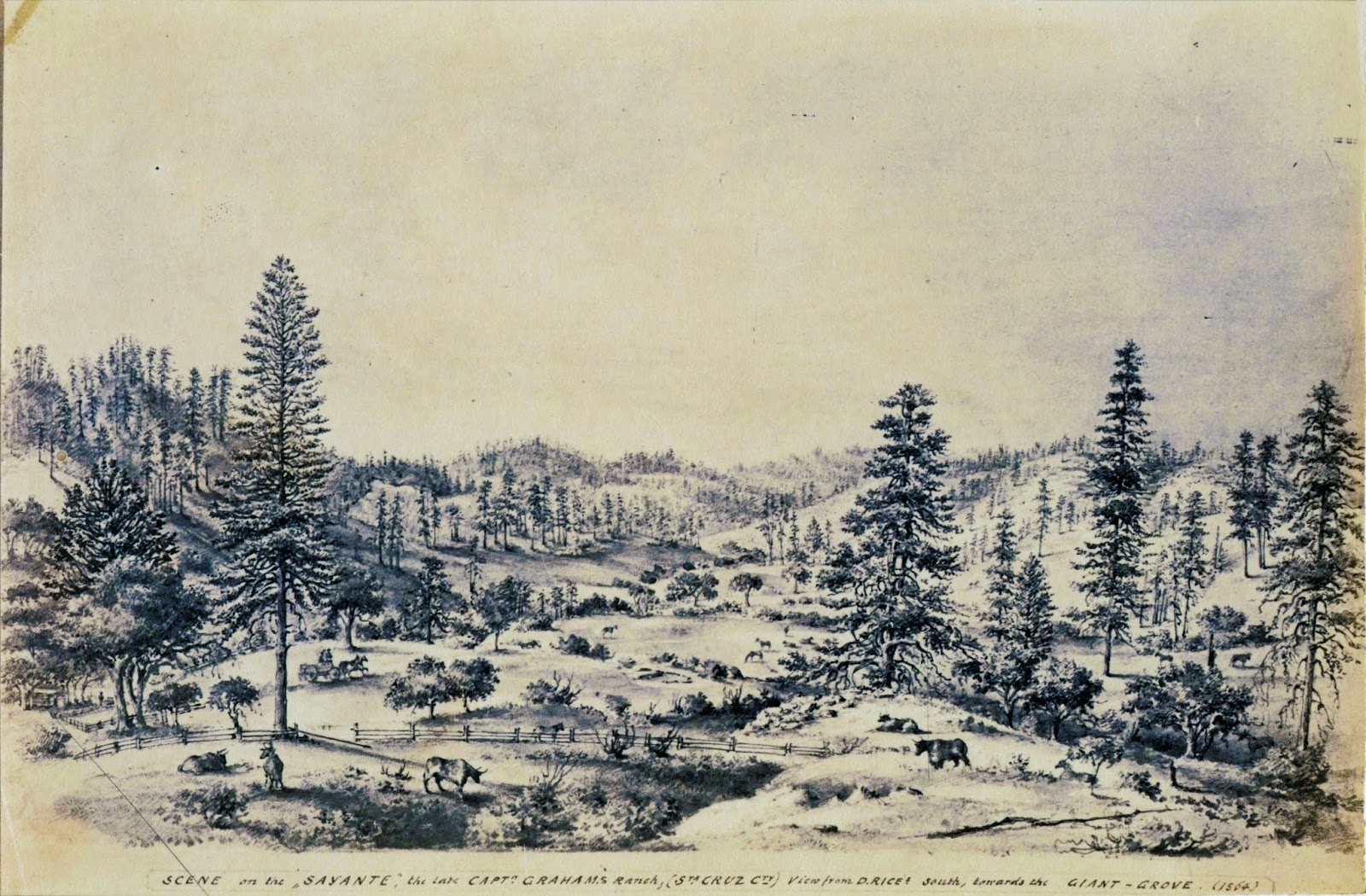 Santa Cruz Trains: Railroads of the Monterey Bay: People: The Awaswas ...