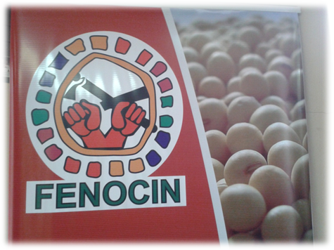 Grupo FENOCIN