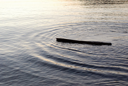 ME & MY THOUGHTS: 264. We are all like Wooden Logs floating in the ...