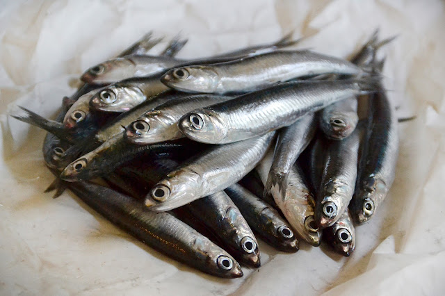 POVERIMABELLIEBUONI: IRRESISTIBILI ACCIUGHE FRITTE PER LA GIORNATA ...