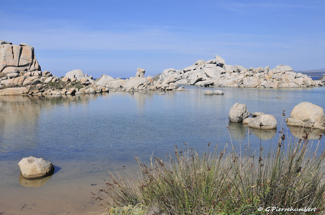 Jo - Photographe: Les Îles LAVEZZI et CAVALLO