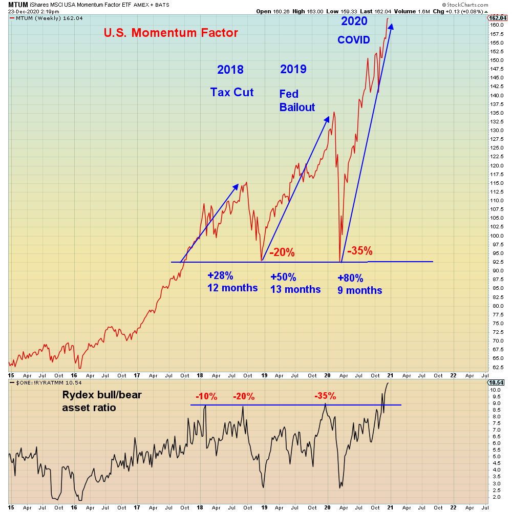 ZEN SECOND LIFE: 2020: Year Of The False Profit