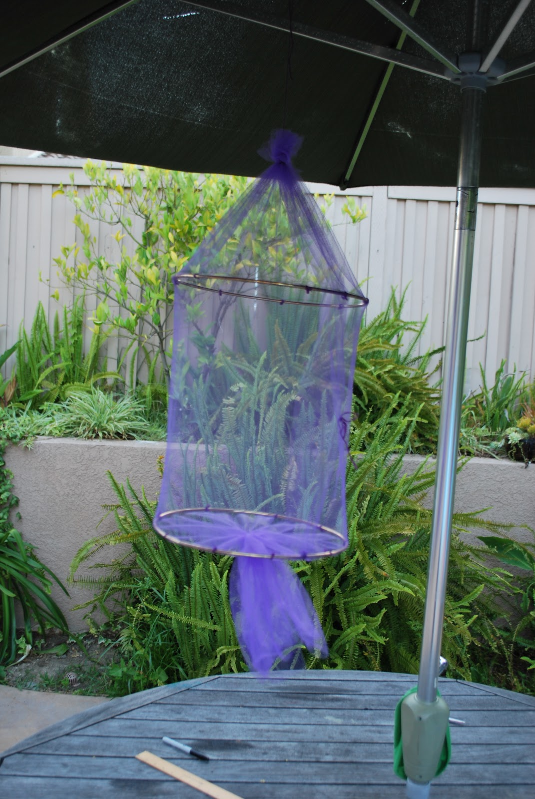 Crafty Tutorials: Butterfly Enclosure