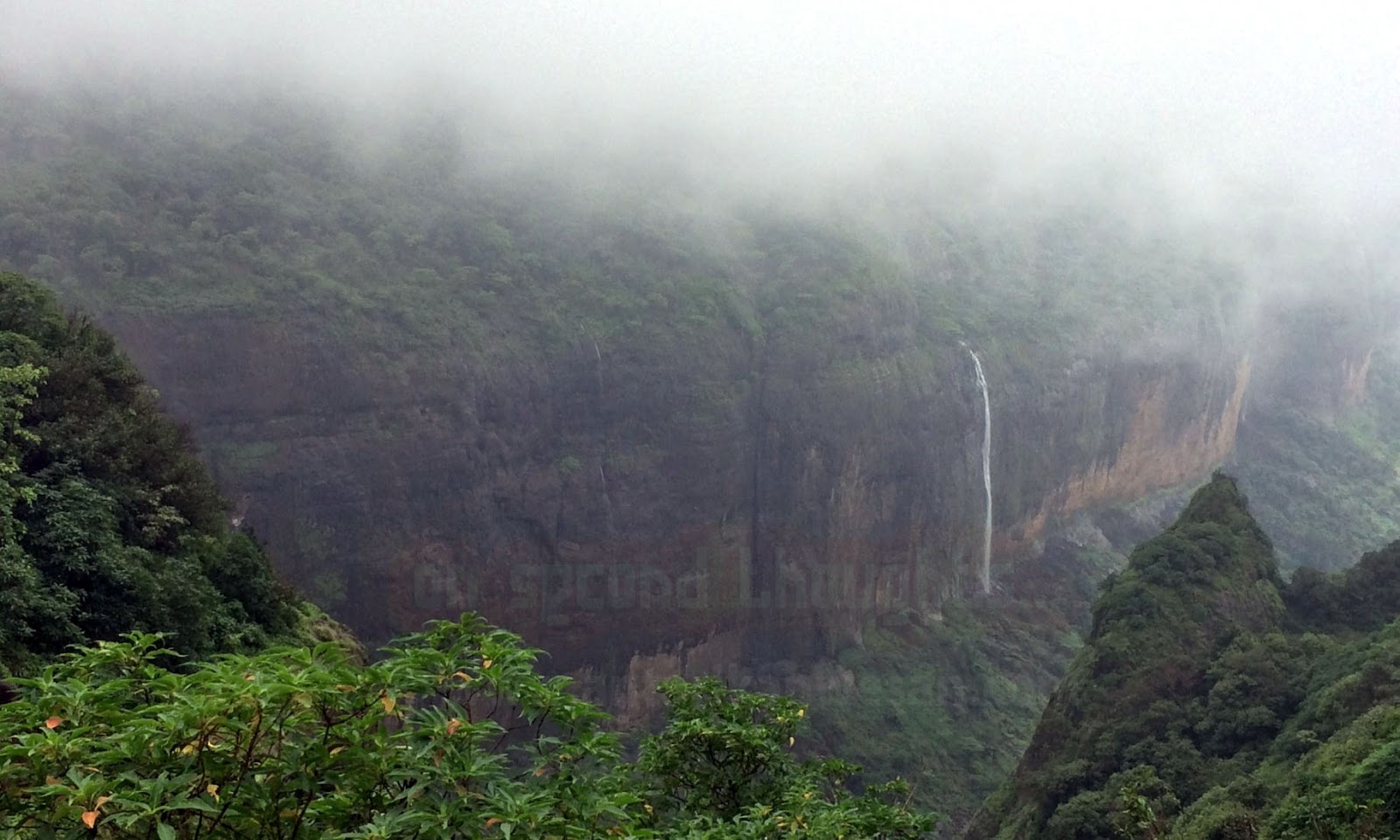 The Enchanting Trek Through Andharban - The Dark Forest