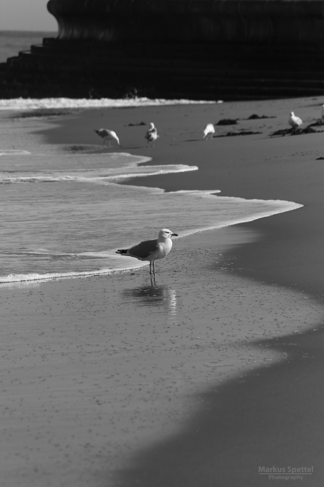 Markus Spettel Photography: Juni 2012