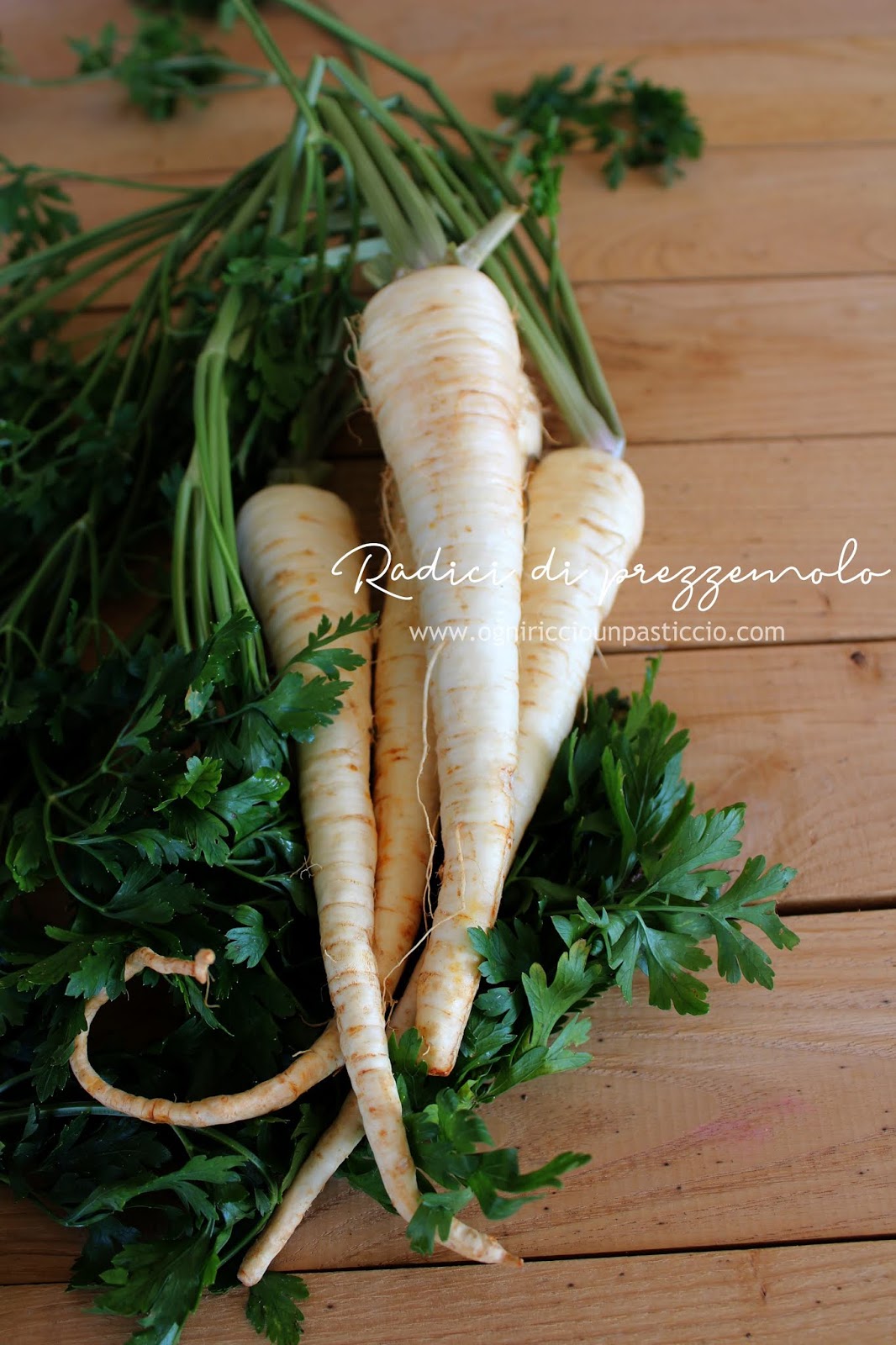 Ogni riccio un pasticcio - Blog di cucina: TUTTO sulle Radici del ...