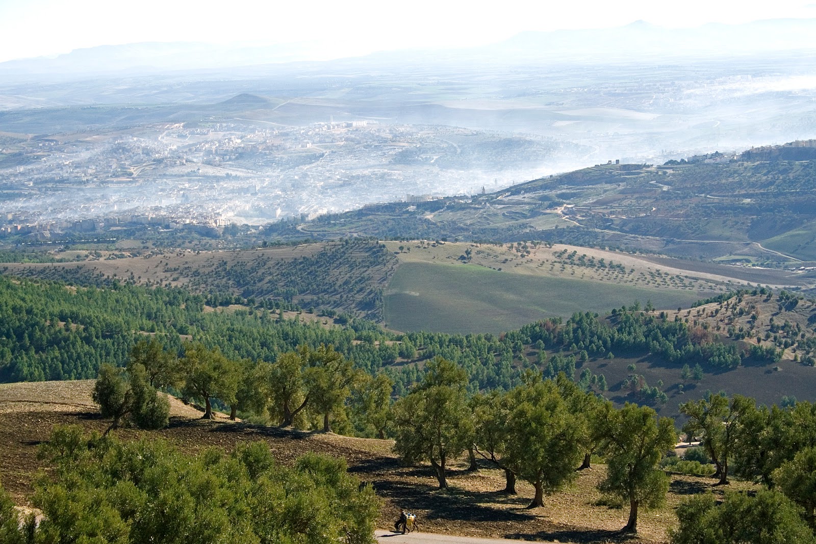 The View From Fez Moroccan Photo Of The Day