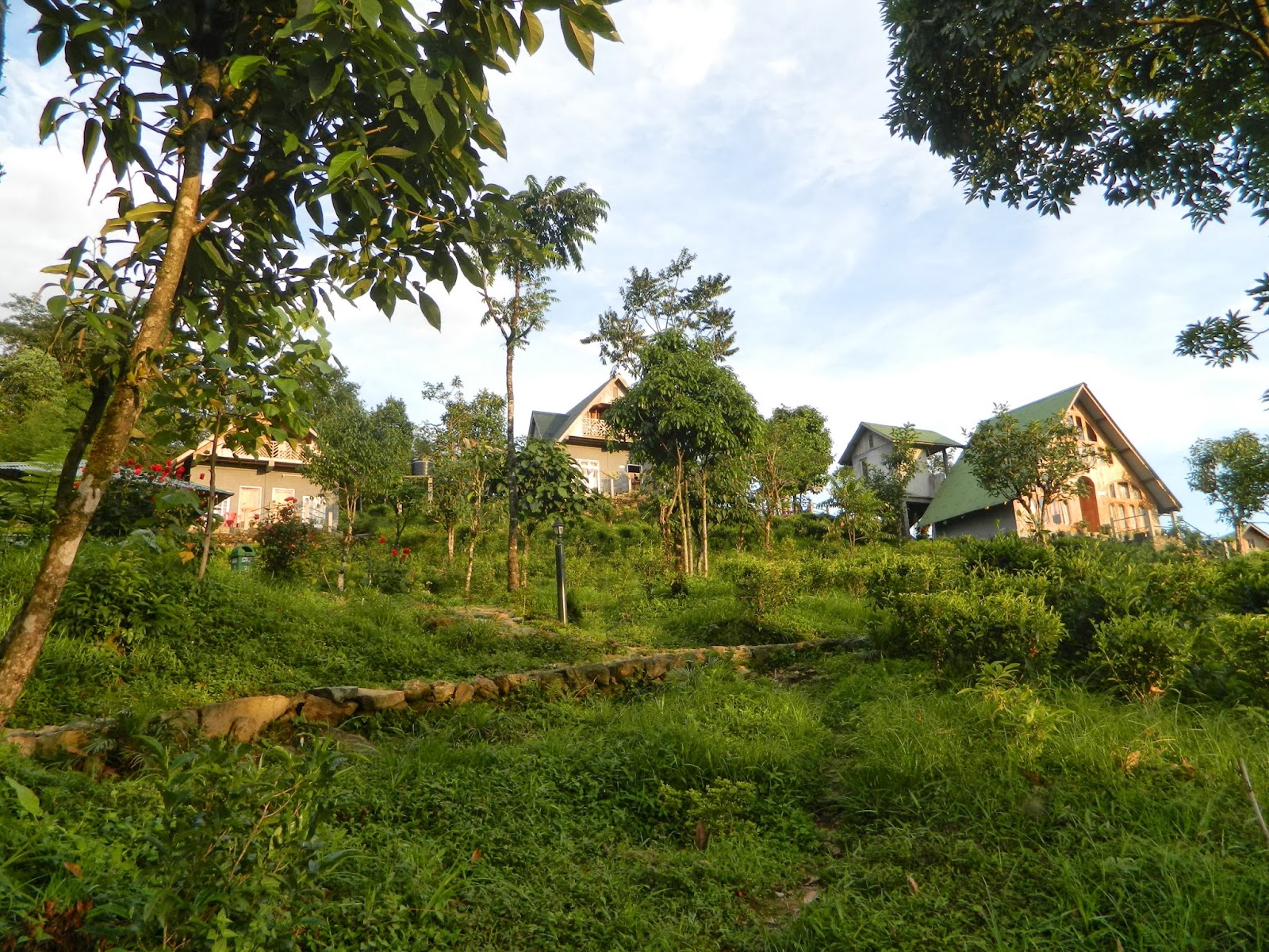 "DOOARS" THE HEAVEN OF NORTH BENGAL: JHANDI ECO HUTS