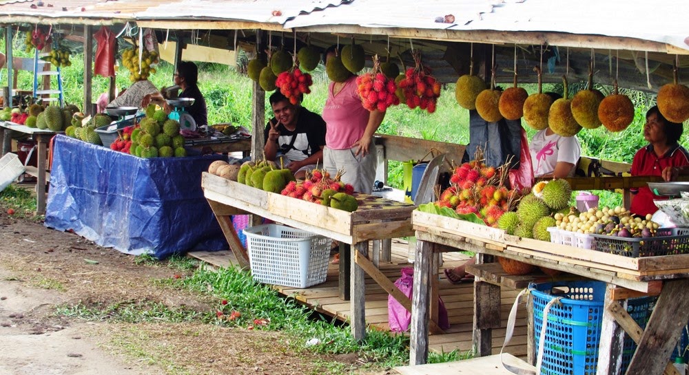 KINABALU: FRUIT SEASON IN SABAH