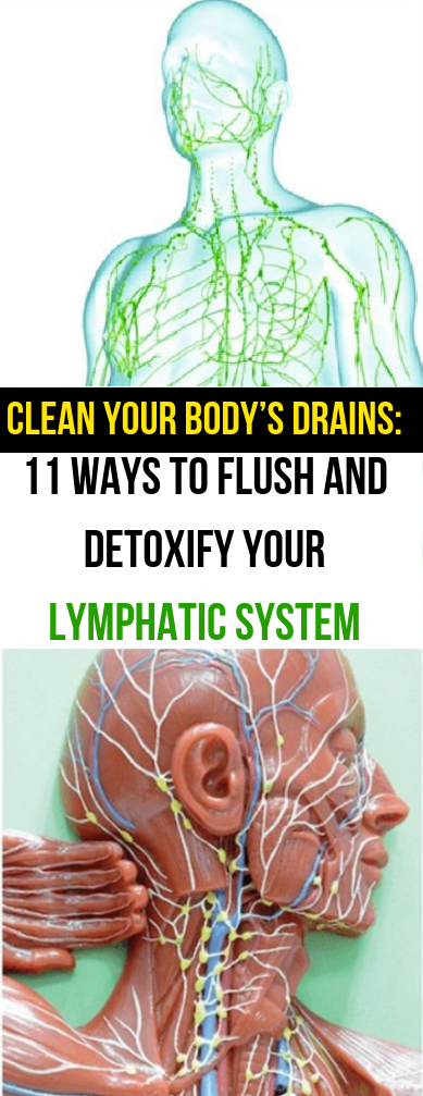 11 Ways To Detox Your Lymphatic System (Your Body’s Drains) - Healthy ...
