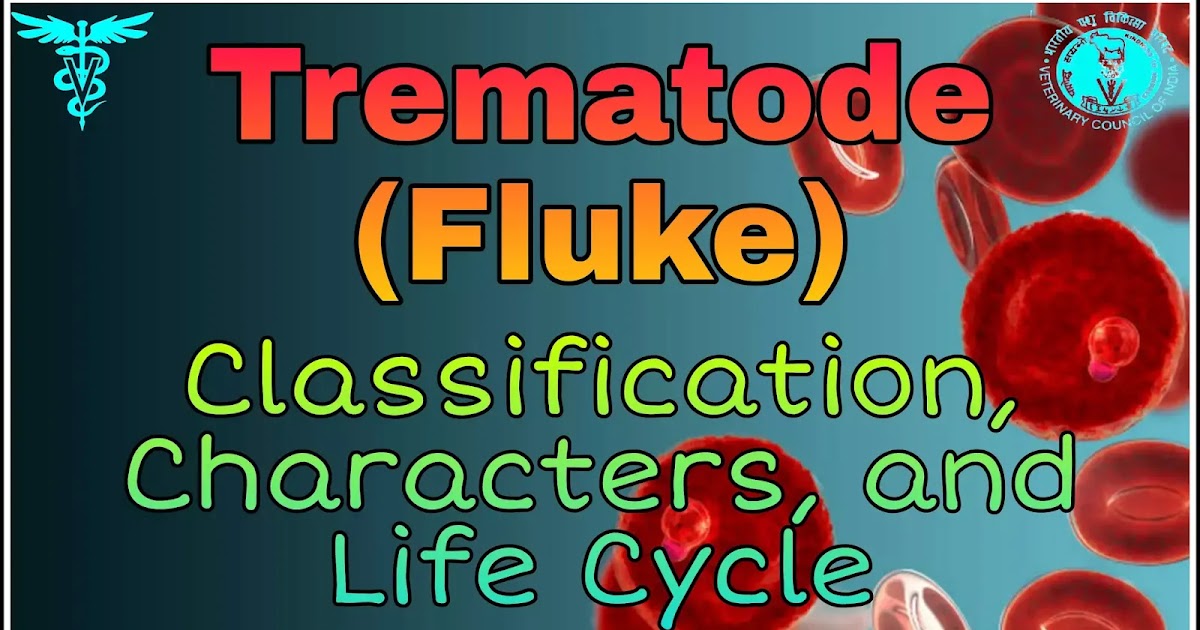 Trematode (Fluke) - Introduction, Classification, Characters and Life ...
