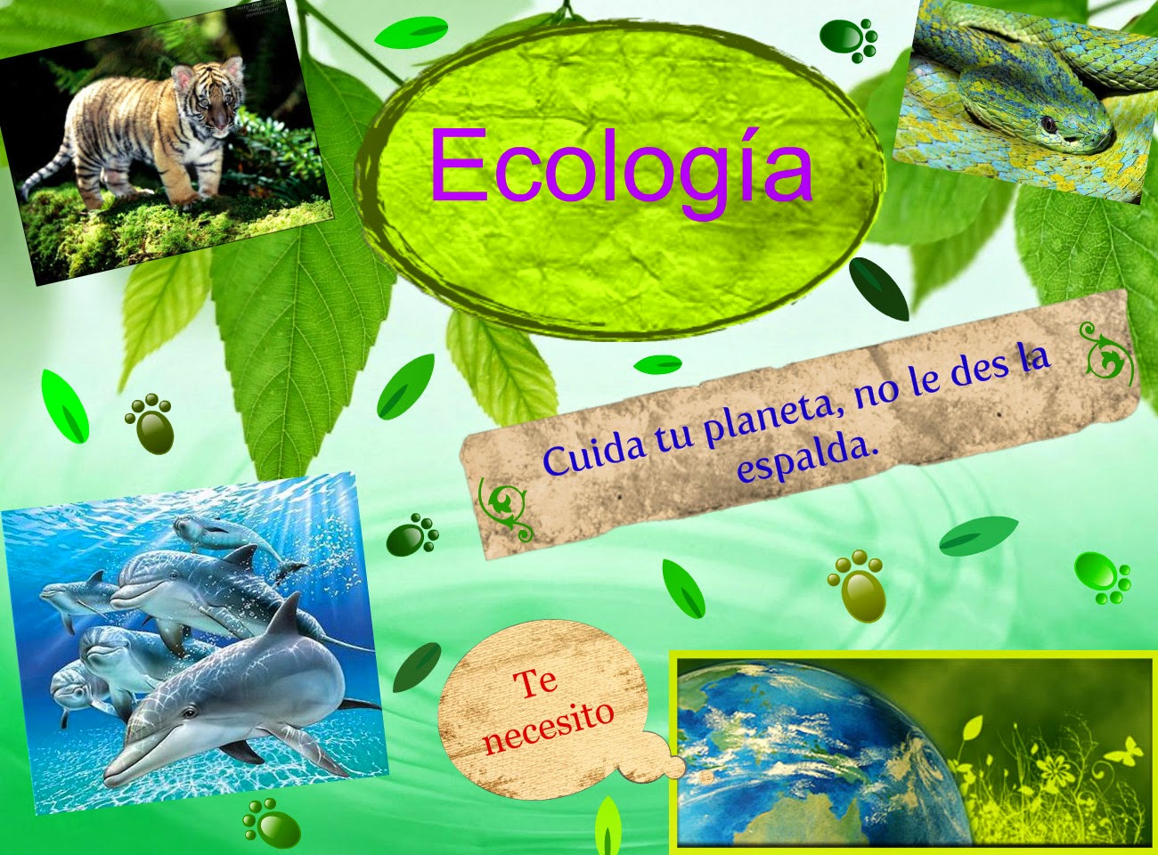 Ecologia