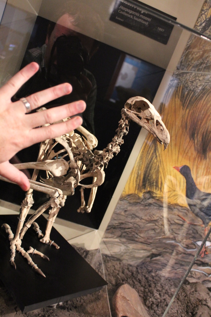 This Fluid Thrill: Research Roadtrip: Urban coastal settlements