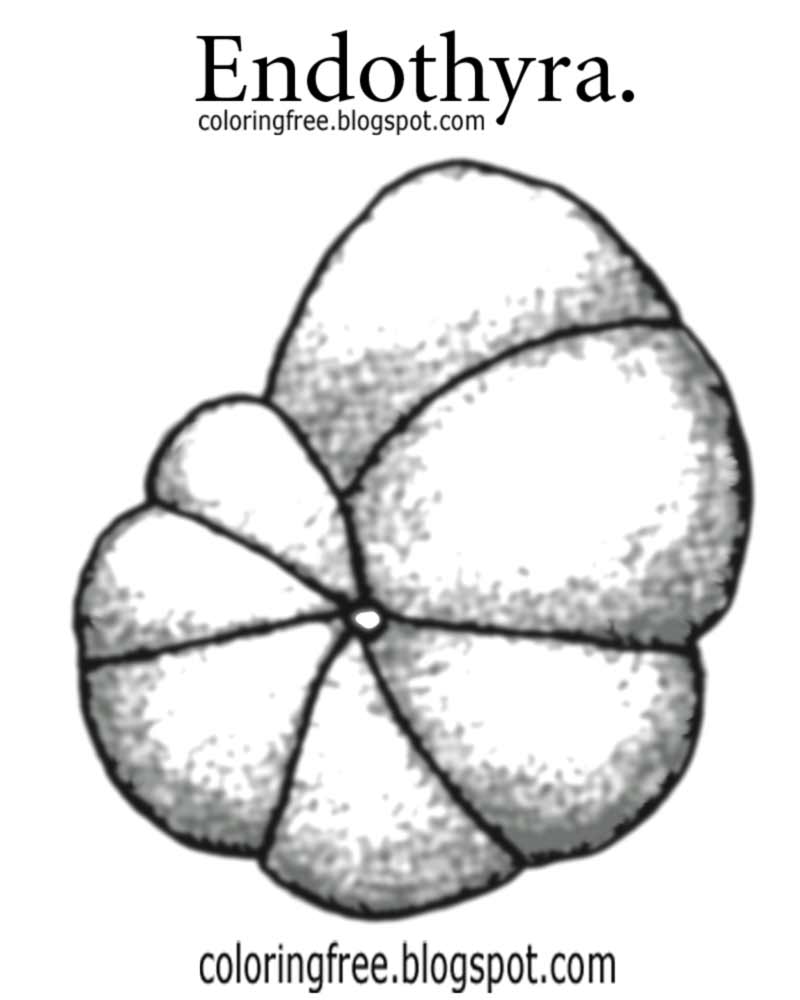 Free Coloring Pages Printable Pictures To Color Kids Drawing ideas: Sea ...