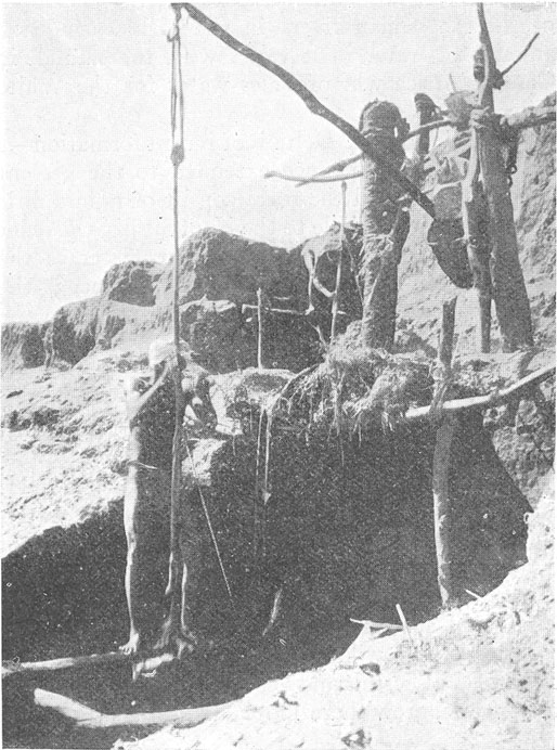 The Shaduf, an Ancient Egyptian Watering System