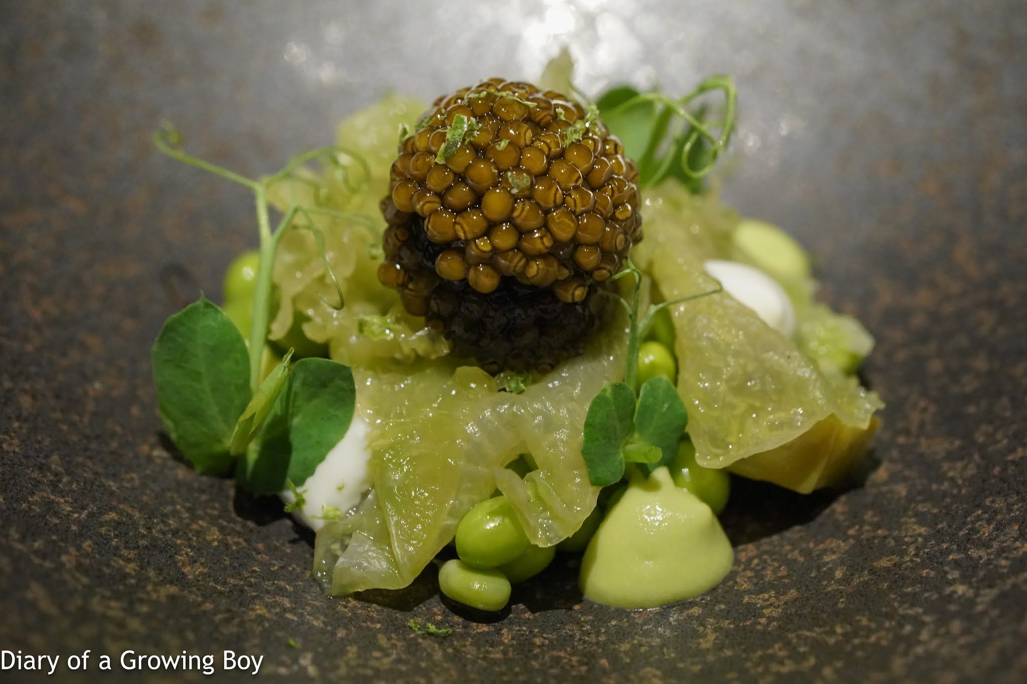 吃喝玩樂 - Diary of a Growing Boy: 70s disco boogie night