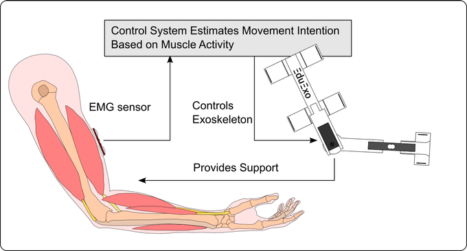 EduExo The First Robotic Exoskeleton Kit for STEM Education - M.B Raw