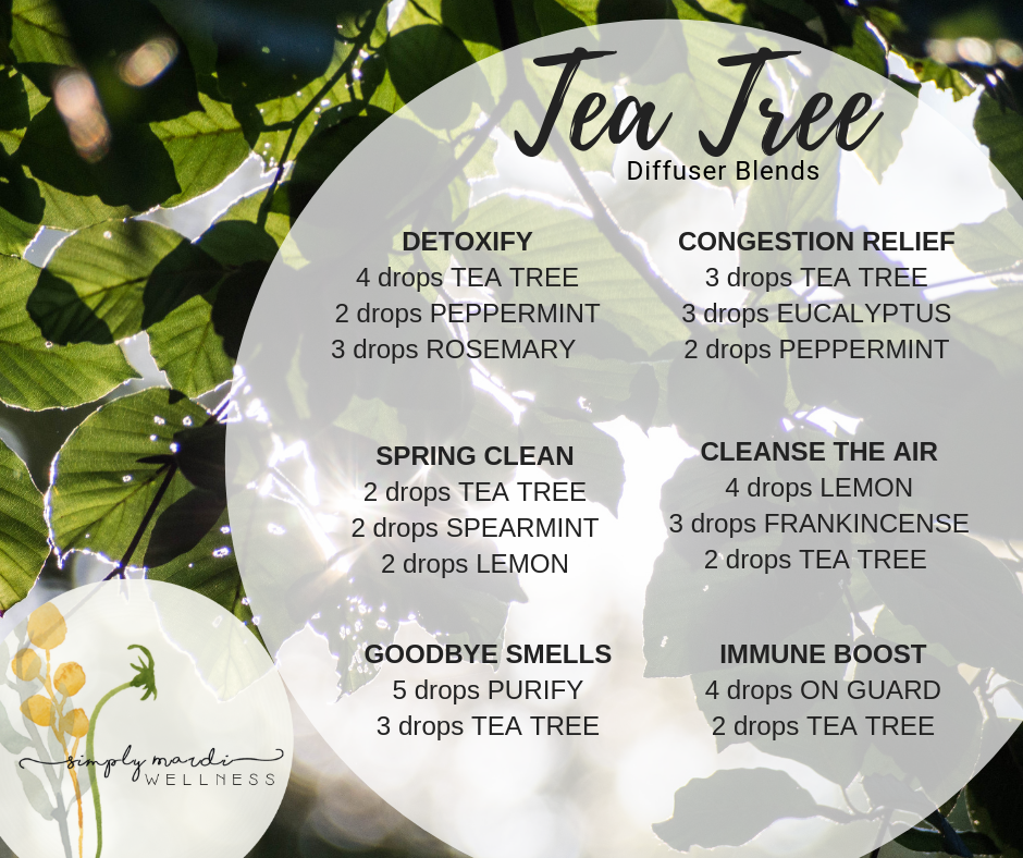 TEA TREE Essential Oil... What do I do with it? | Simply Mardi TEA TREE Essential Oil... What do I do with it? | Simply Mardi