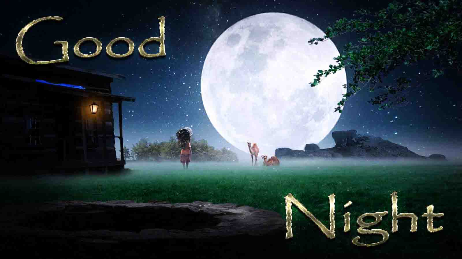 33+ Good Night Images For Best Friends