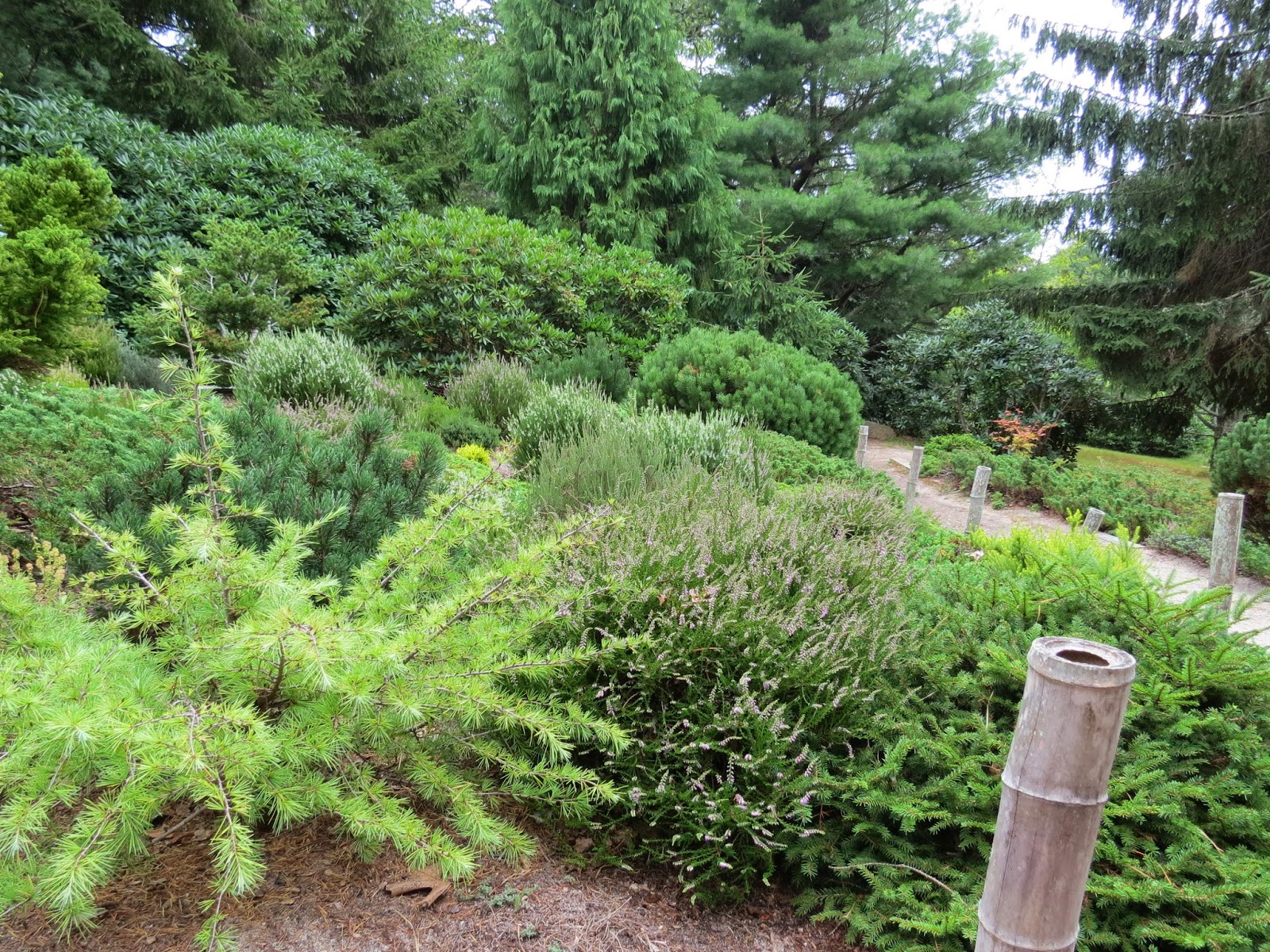 Flashback to Mytoi Gardens