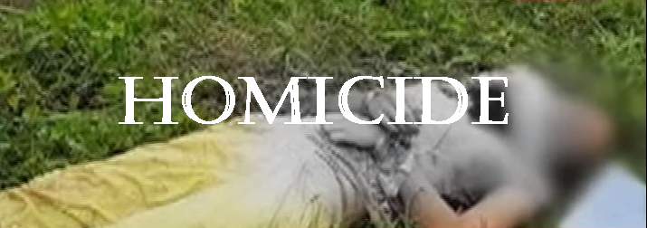 What Does Homicide Mean? - Homicide Meaning ~ How to Style