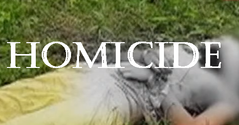 What Does Homicide Mean? - Homicide Meaning ~ How to Style