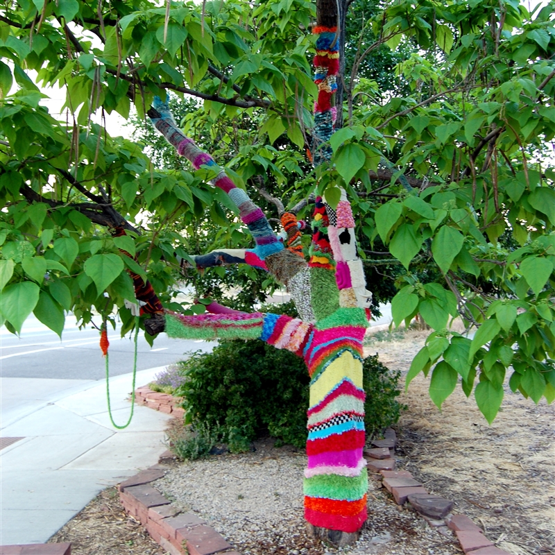 Capadia Designs: "Yarn Bombing" in Colorado