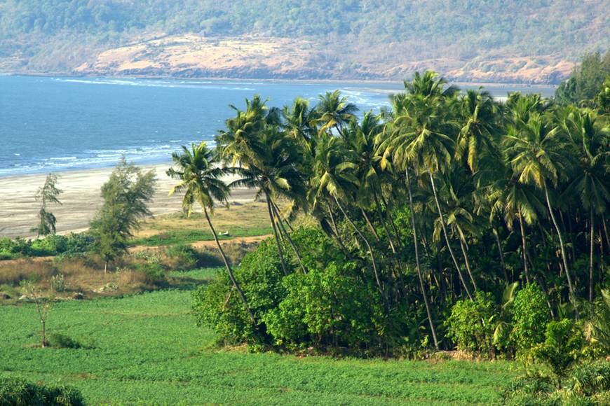 kokan NATURE AT ITS BESTâ€¦â€¦.!!!! | Email OF The Day